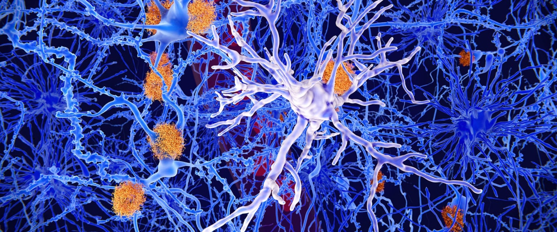 Exploring the Link Between Genetics and Inflammation